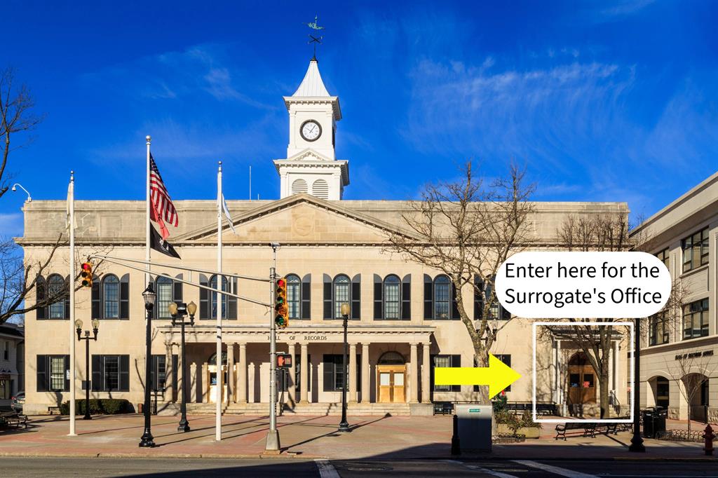 Surrogate Directions